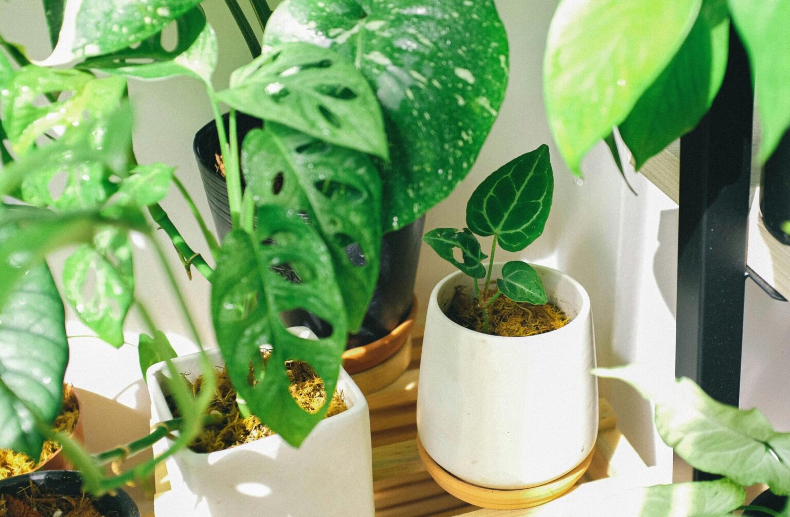 Design A Therapy Office From Scratch - Private Practice Skills